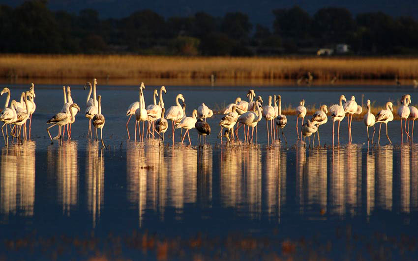 Gialova Lagoon | | Dodeka travel