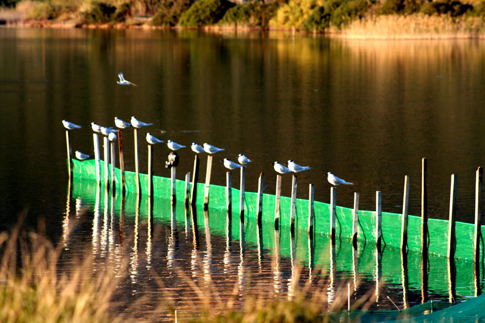 Thermisia Lagoon | | Dodeka travel